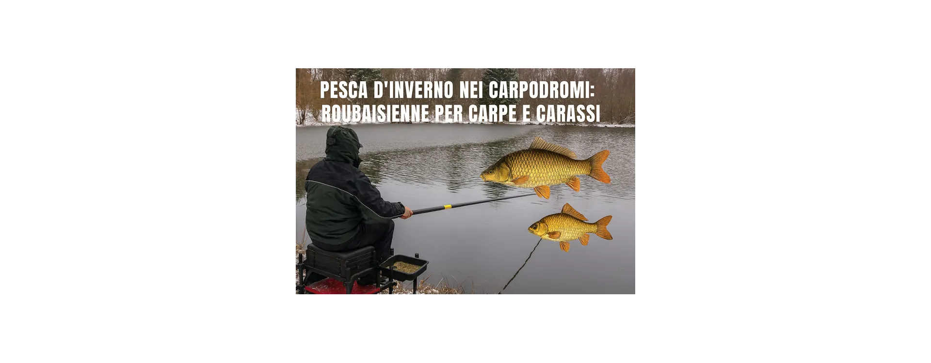 Winter fishing in carp fisheries using the pole technique for carp and ...